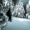 Иконка канала Уйду в лес  \ Экспедиция Заброшенная деревня
