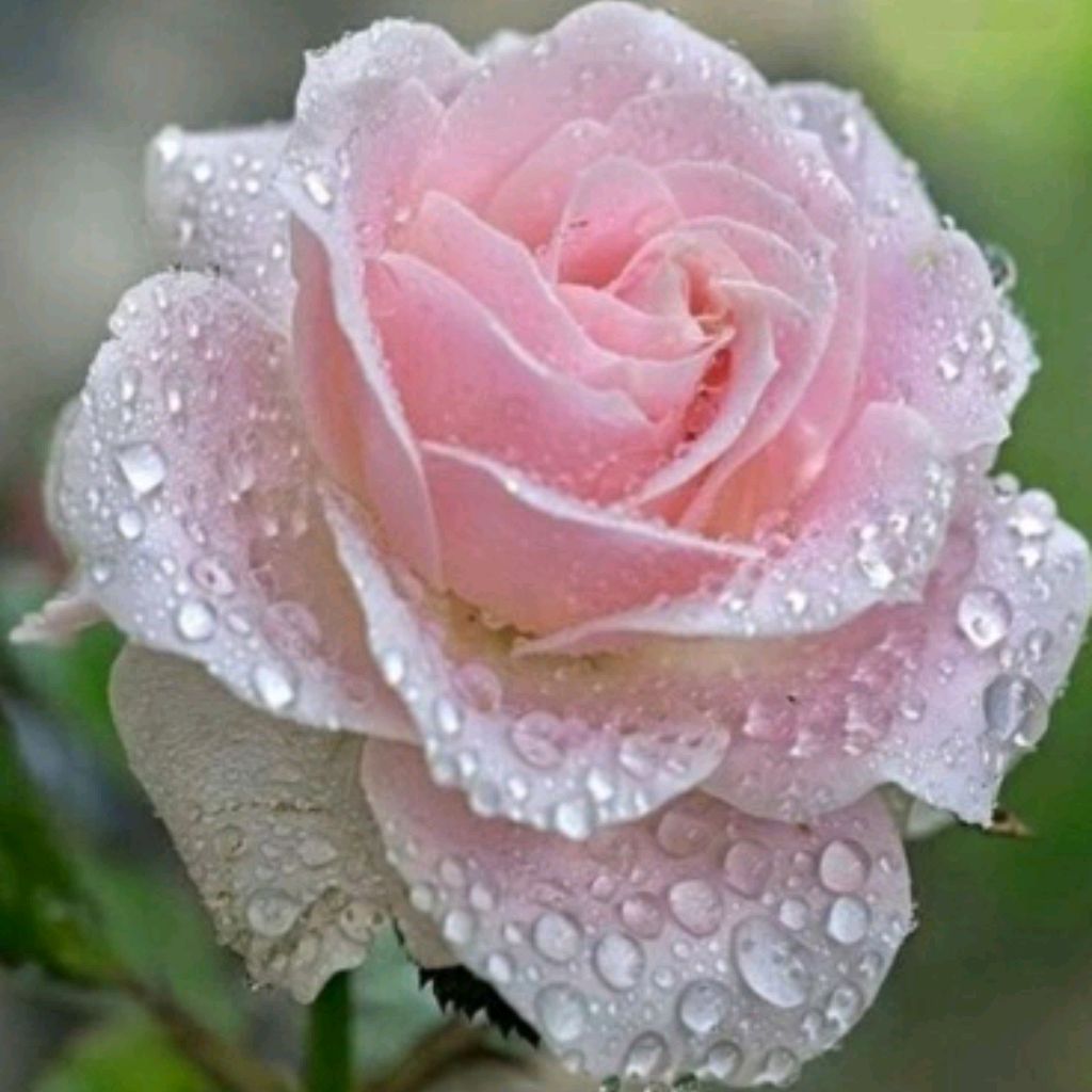 Иконка канала Ангелинаанна