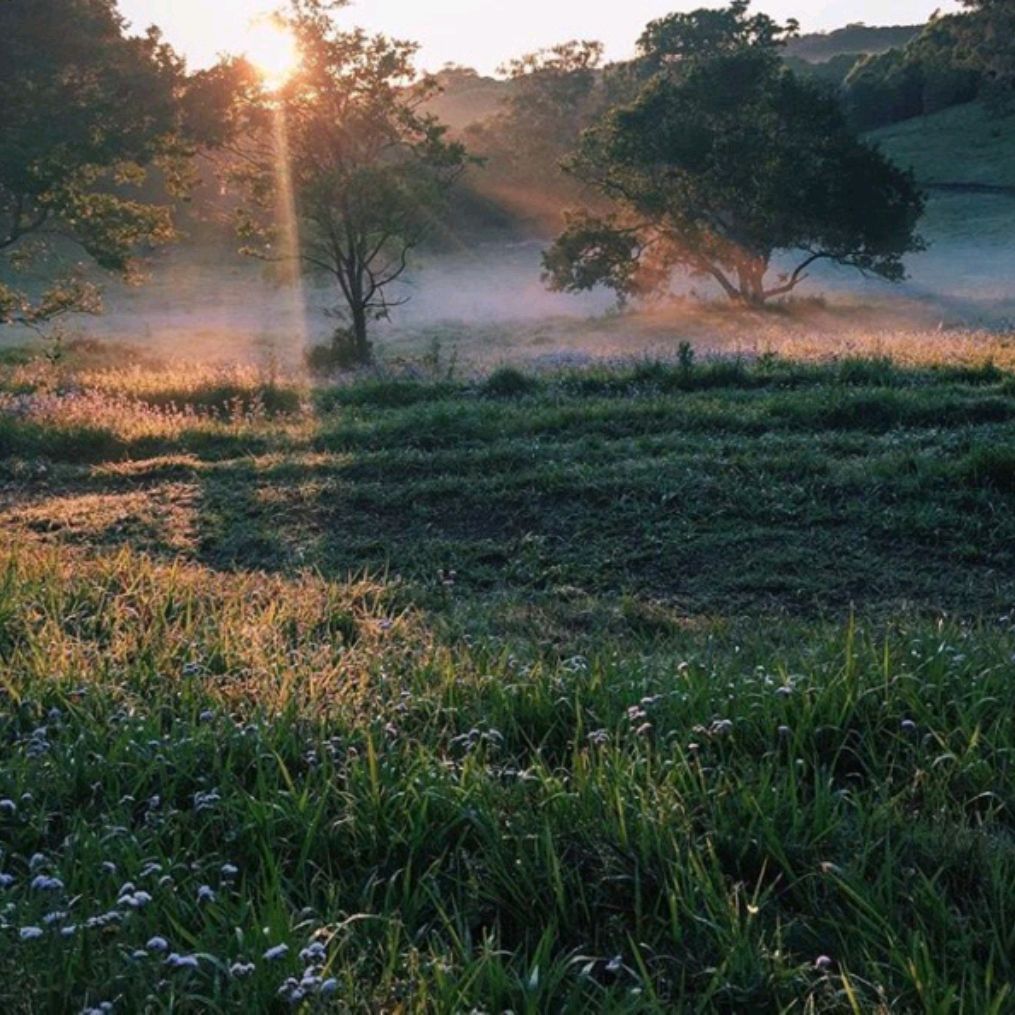 Иконка канала channel31158922