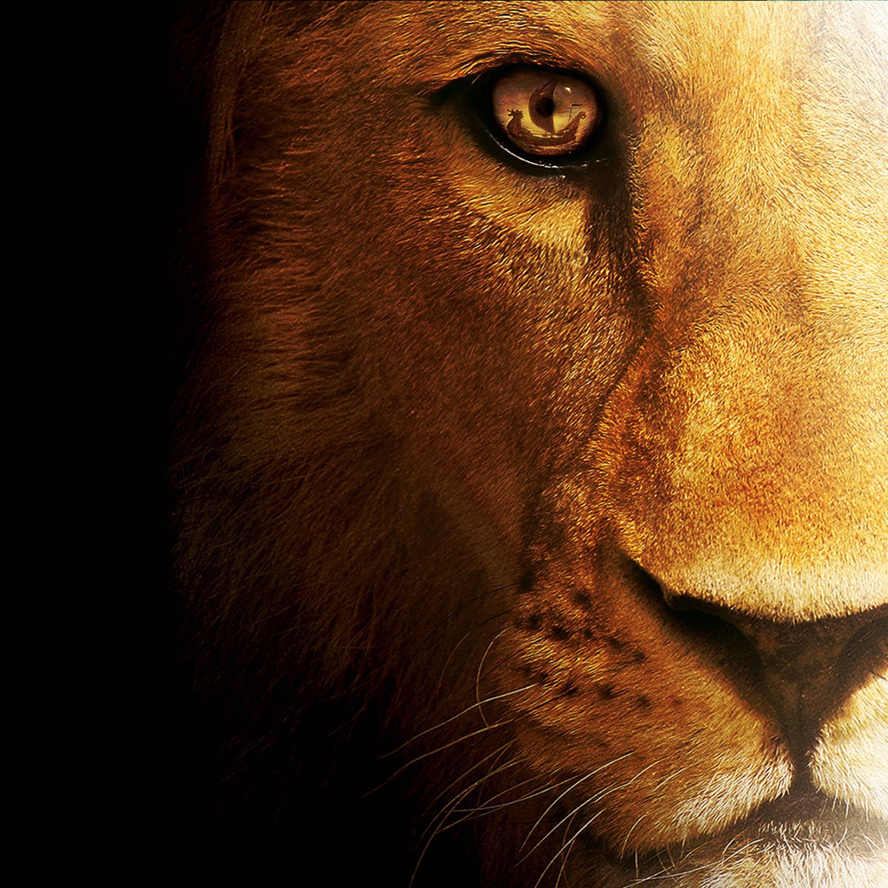 Иконка канала Евгений Береснев