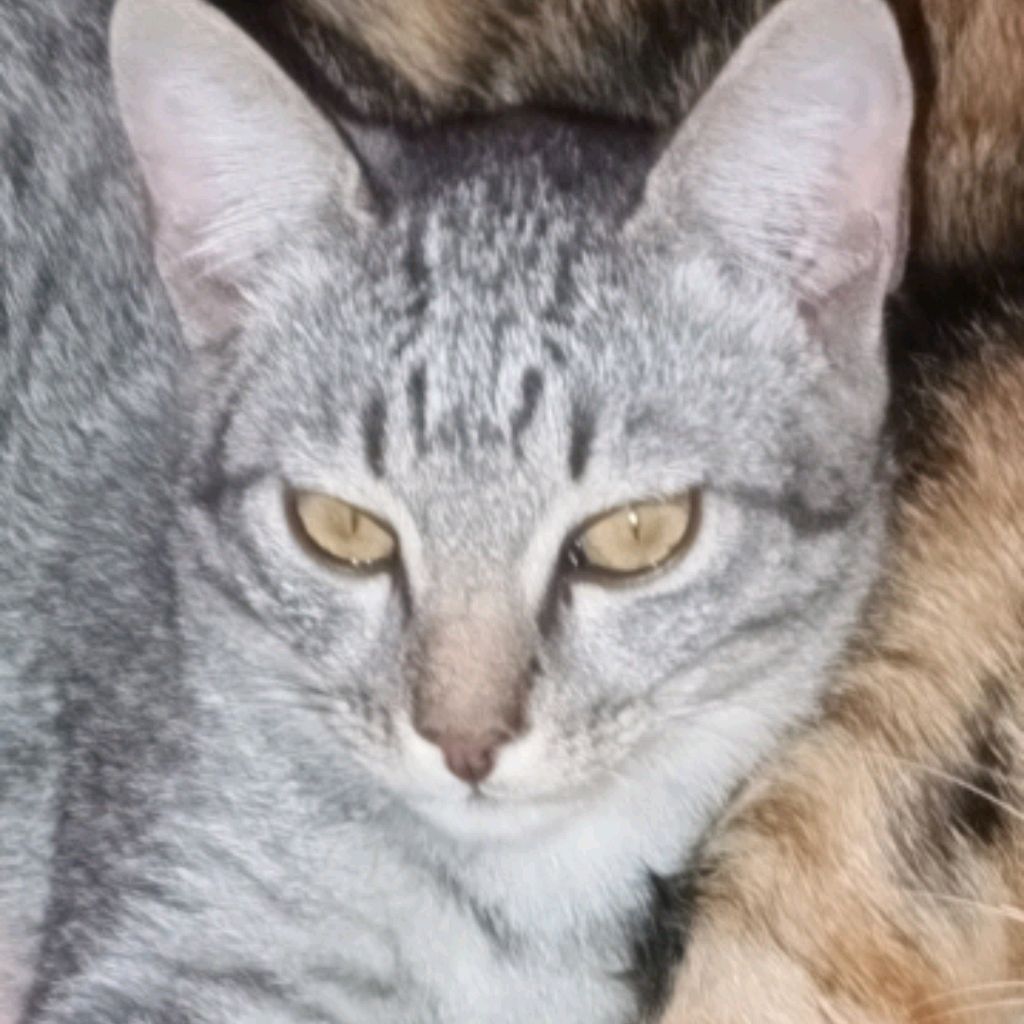 Иконка канала У ВЛАДА