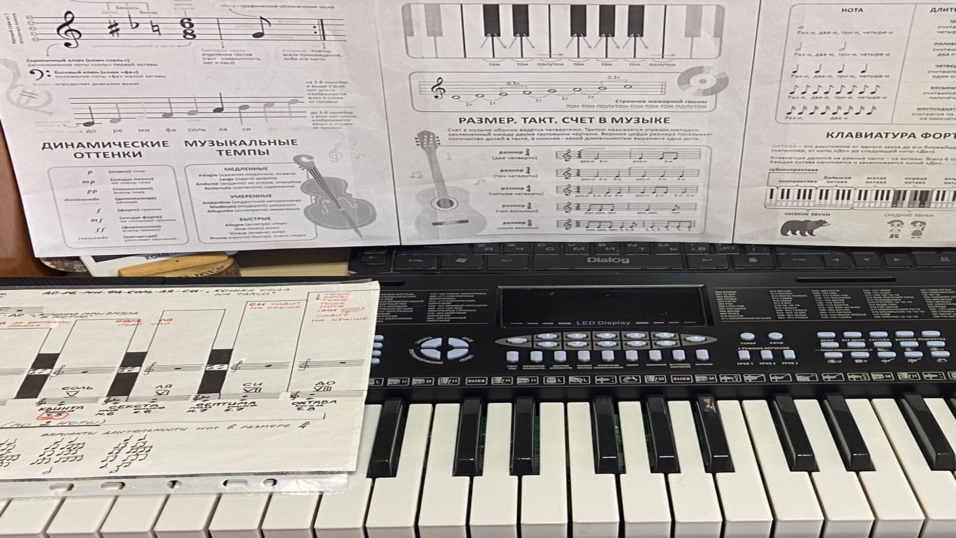 Иконка канала Nika Darbogova