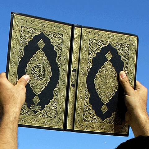 Иконка канала NaShEeDs