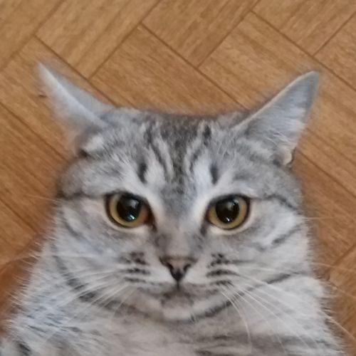 Иконка канала Ewgen11