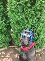 Иконка канала Family TV