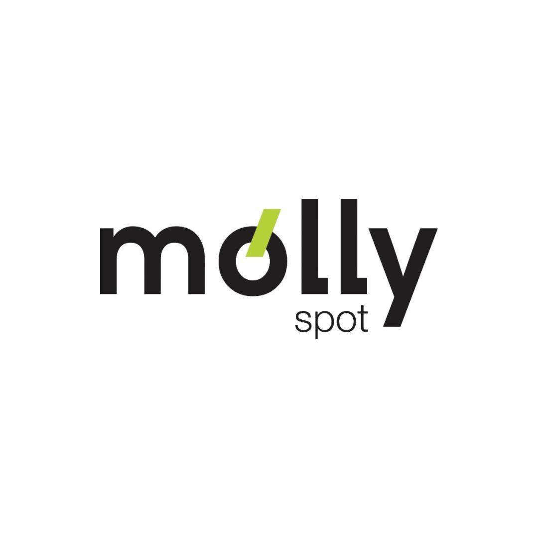 Иконка канала Molly Spot | Потолочные светильники