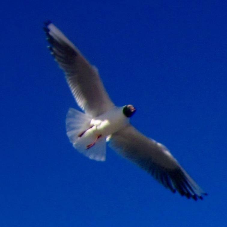 Иконка канала Психология рисунка