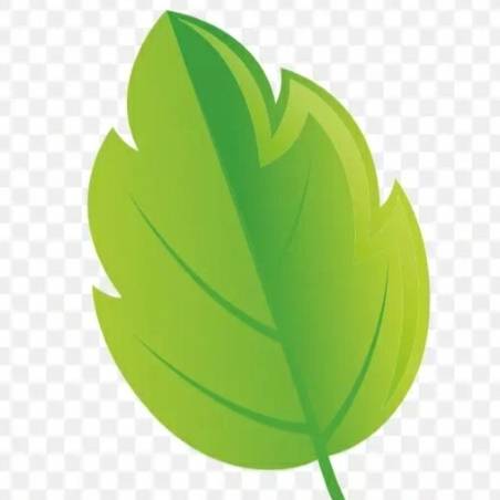 Иконка канала Укрепление Здоровья