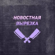 Иконка канала Новостная Вырезка