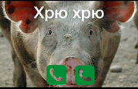 Иконка канала Свин