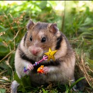 Иконка канала D1mmy Fortnite