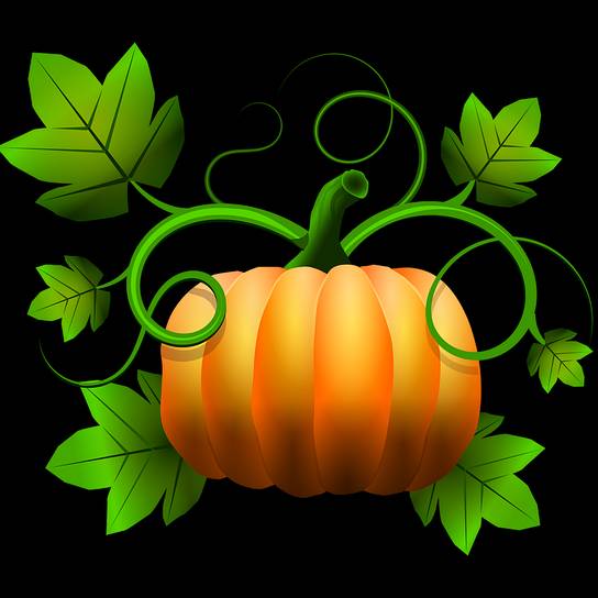 Иконка канала Огородная наука