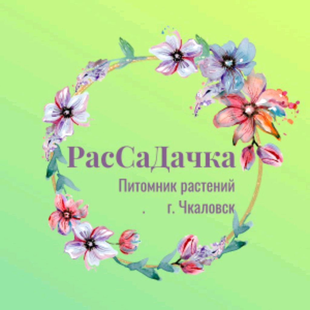 Иконка канала РасСаДаЧка-Чкаловск