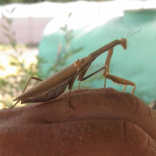 Иконка канала Влад и Света семейный канал