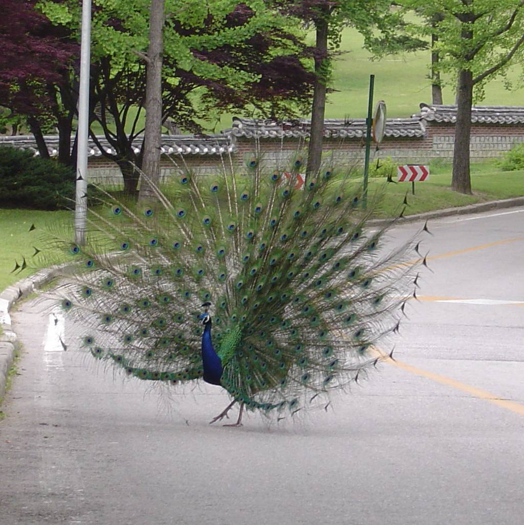 Иконка канала Пьеробезмальвиннофф