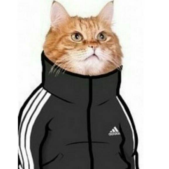 Иконка канала Fugich