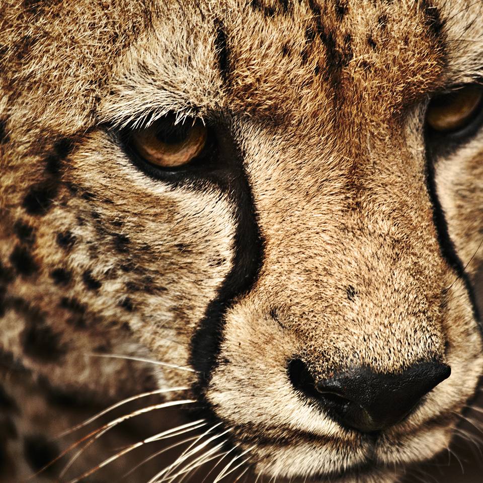 Иконка канала Типа юмор от Любови