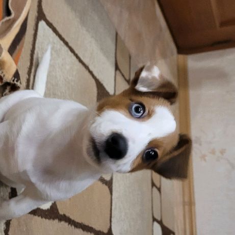 Иконка канала channel29461332