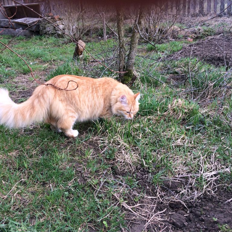 Иконка канала rutube_account_23325091