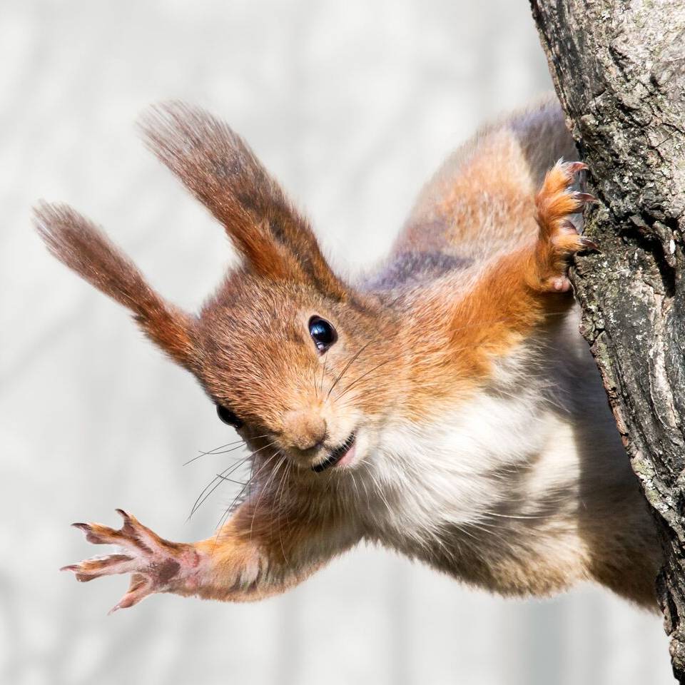 Иконка канала Время белок