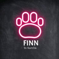 Иконка канала FinK