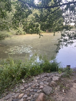 Иконка канала Ольга_ycnex