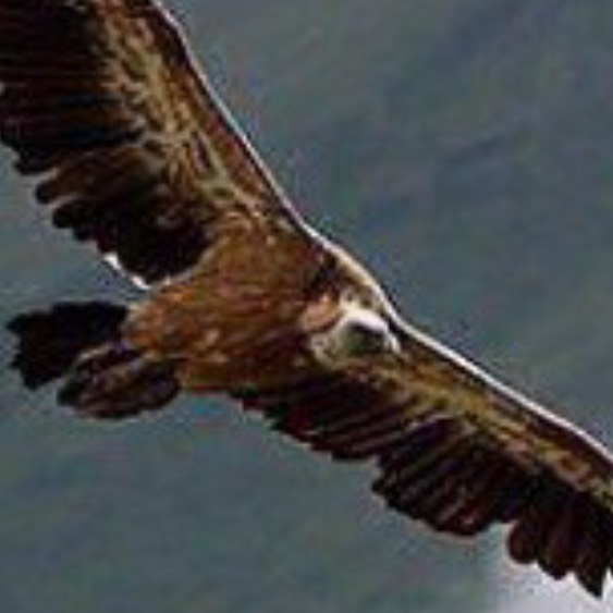 Иконка канала Aleks