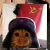 Иконка канала gogopoin123_Nice