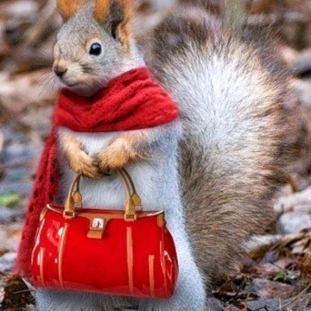 Иконка канала BelkA