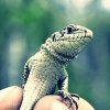 Иконка канала Фёдор Пятчанин
