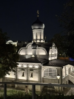 Иконка канала лев