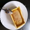 Иконка канала loskoh