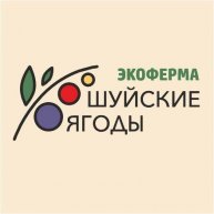 Иконка канала Экоферма "Шуйские ягоды"