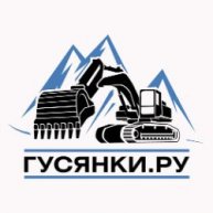 Иконка канала Gusyanki.ru