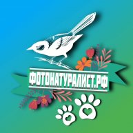 Иконка канала БЁРДЕР.РФ