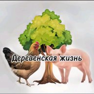 Иконка канала Деревенская жизнь