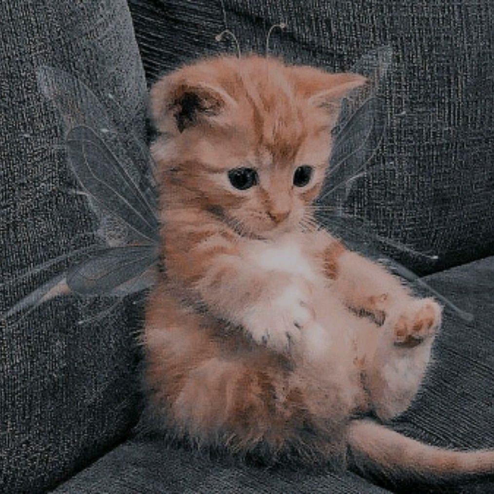 Иконка канала 🍓Vikyska🍓