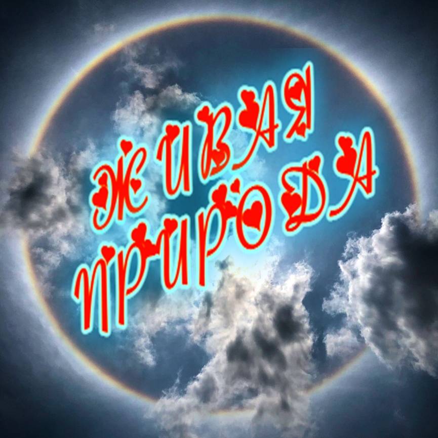 Иконка канала ЖИВАЯ ПРИРОДА