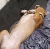 Иконка канала Memka_xren