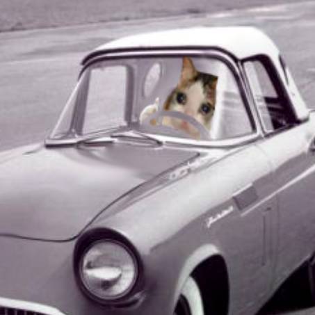 Иконка канала Den Denovski