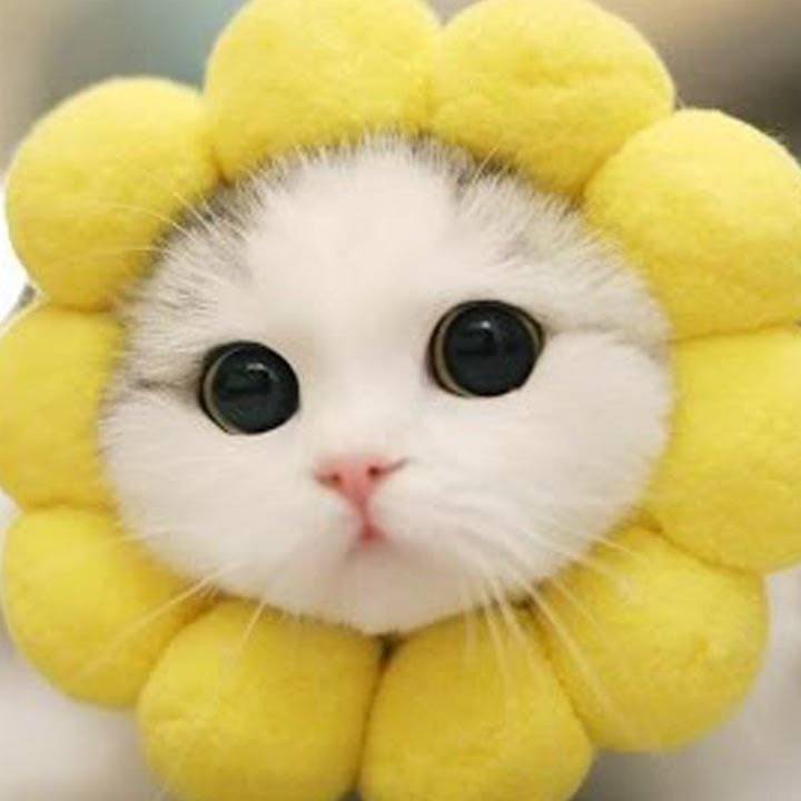 Иконка канала Смешные видео и фильмы