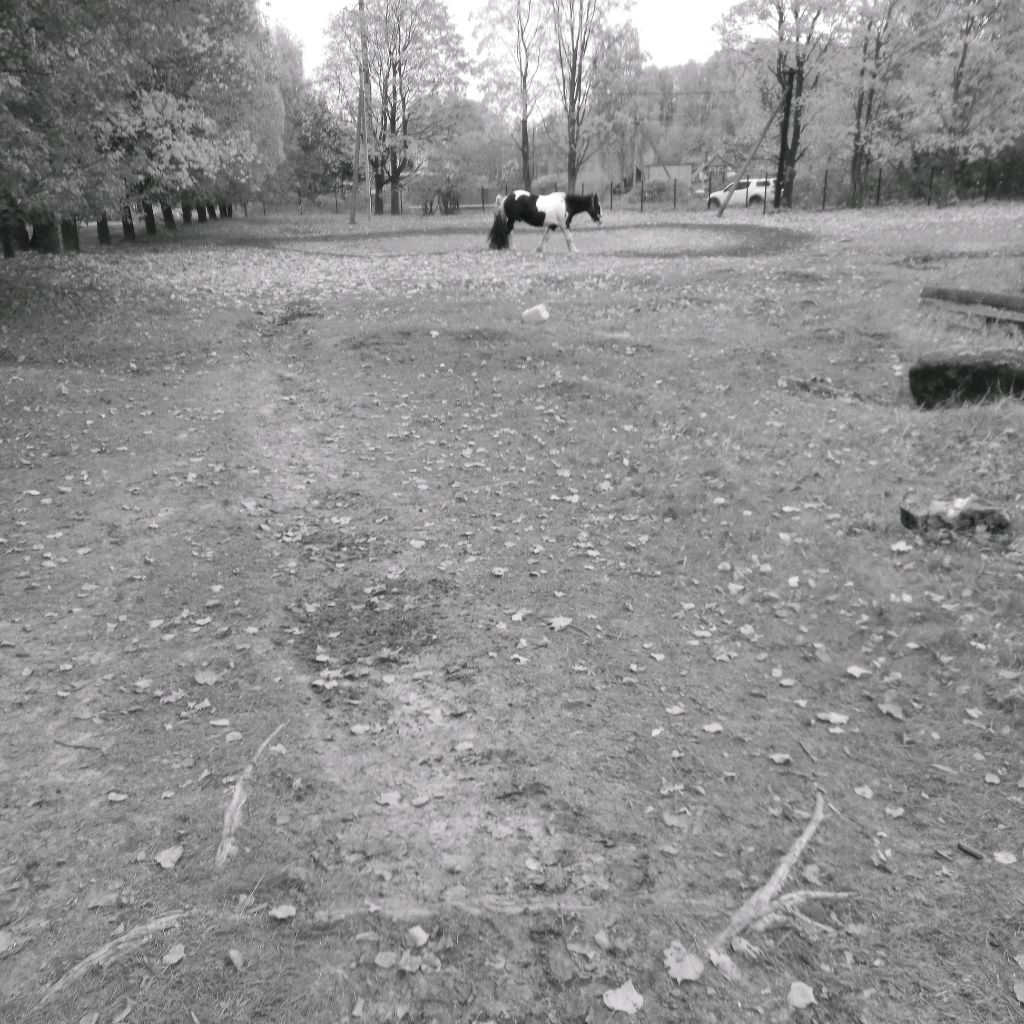 Иконка канала По сути!