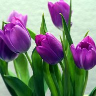 Иконка канала Домашние дела Ираида Кришталенко