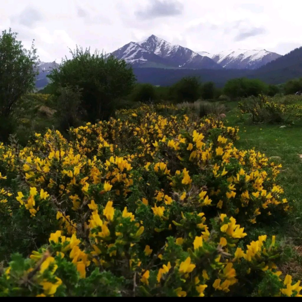 Иконка канала Ляпах Евгений