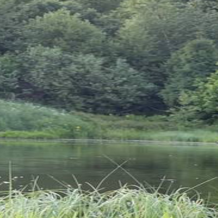 Иконка канала Baitcasting_fisher