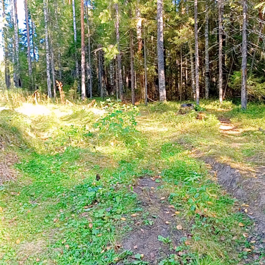 Иконка канала Просто канал?