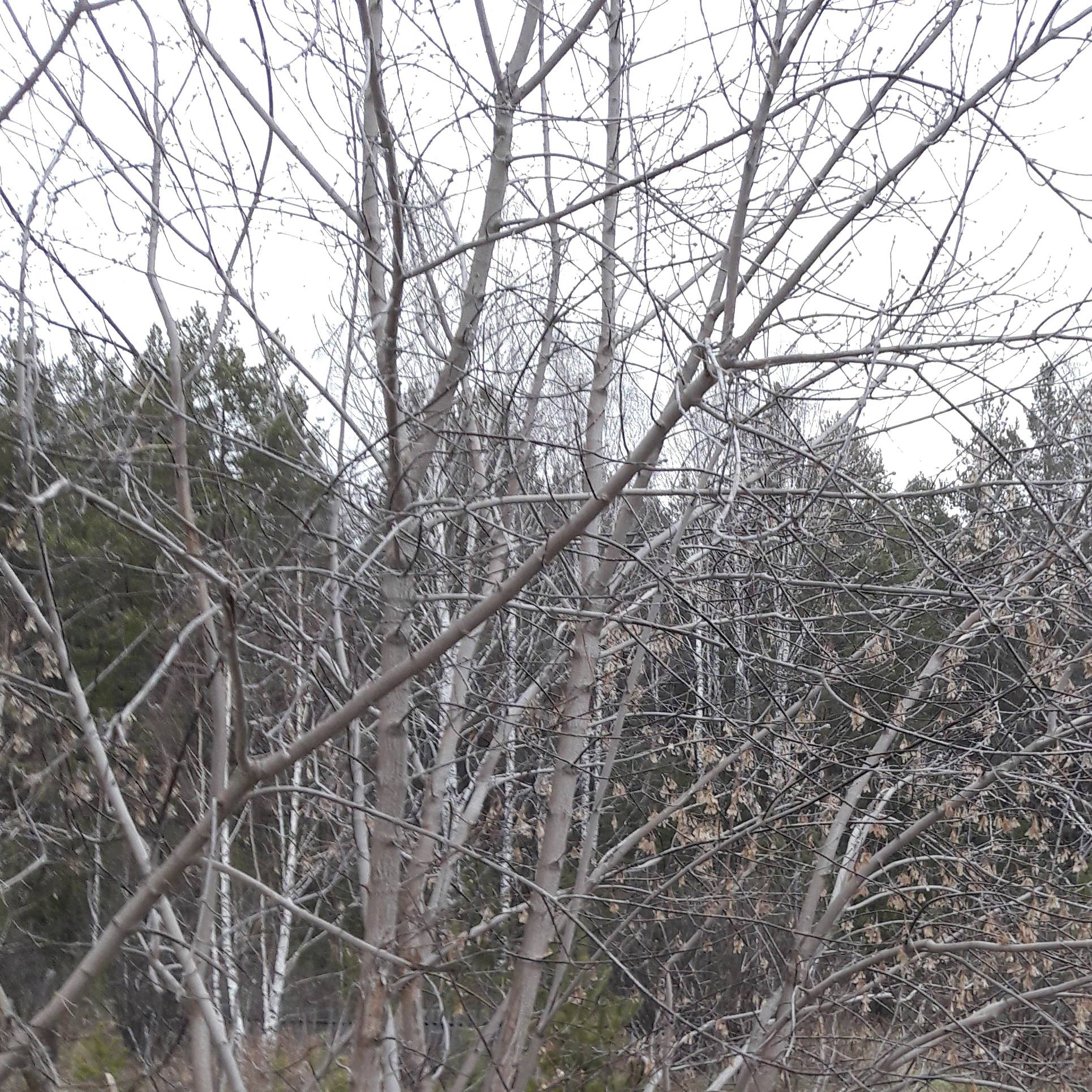 Иконка канала Pety Moy