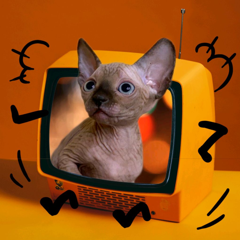 Иконка канала Кесси+Томас