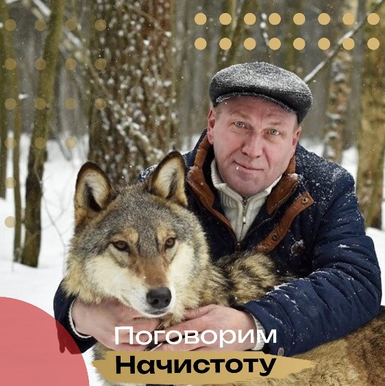 Иконка канала Владимир Сидоркин