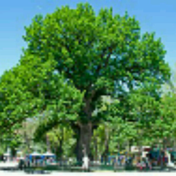 Иконка канала Дыхание Времени